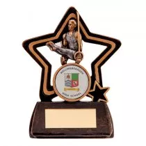 Gold Star Trophies – Get the Best Deal Online at Tower Trophies UK