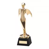 Corporate Awards & Trophies - Buy Online at Tower Trophies UK