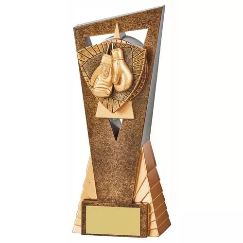 Edge Boxing Trophy | 210mm | G24, Buy Online in UK from Tower Trophies
