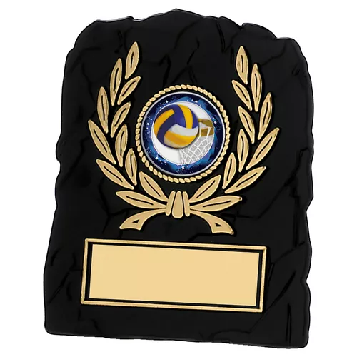 Black And Gold Acrylic Plaque | 100mm | , Buy Online in UK from Tower Tr...