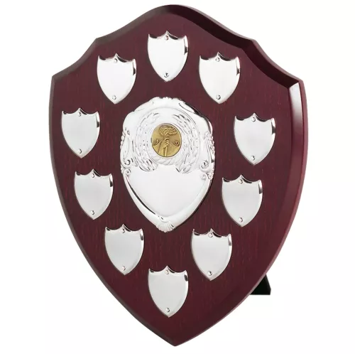 Swatkins Perpetual Shield Award - 10 Side Shields | 254mm, Buy Online in...