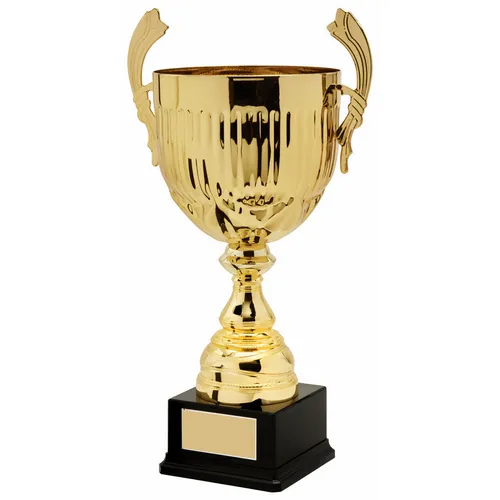 Torus Presentation Cup With Handles | Gold | 550mm, Buy Online in UK fro...